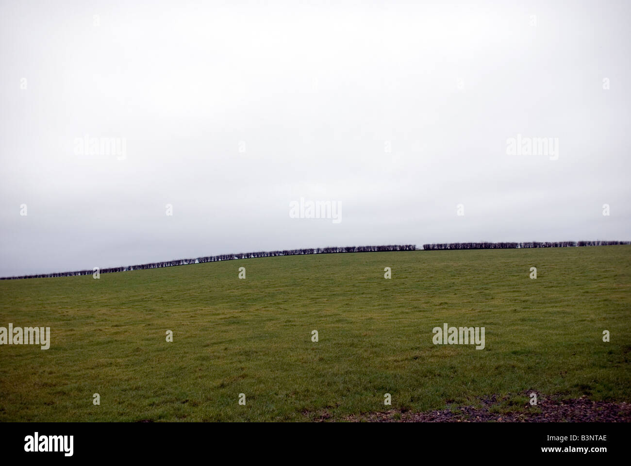 Dull grass hi-res stock photography and images - Alamy