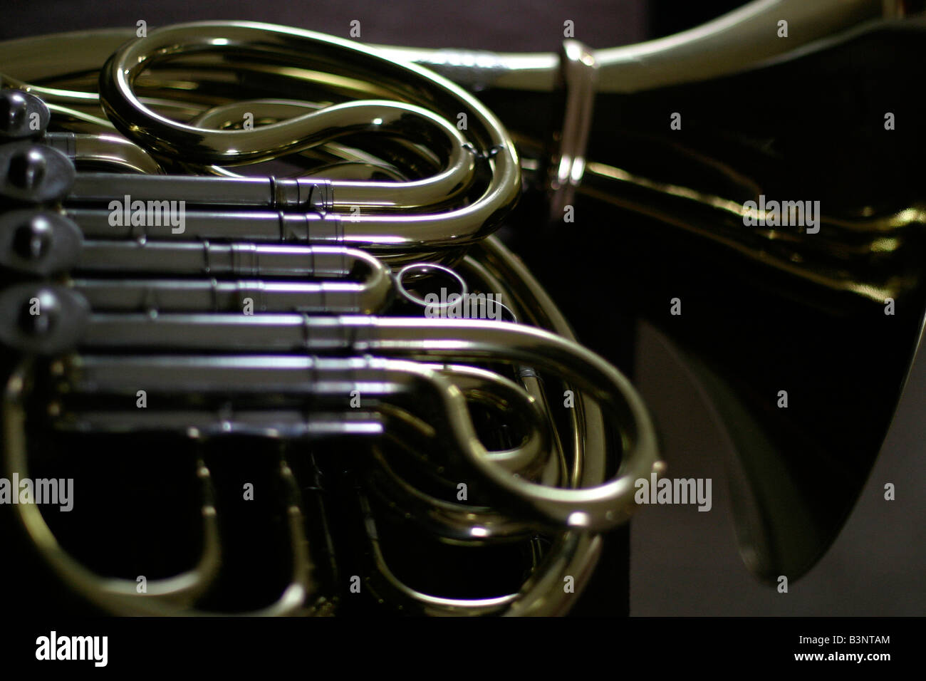 Bugle horn hi-res stock photography and images - Alamy