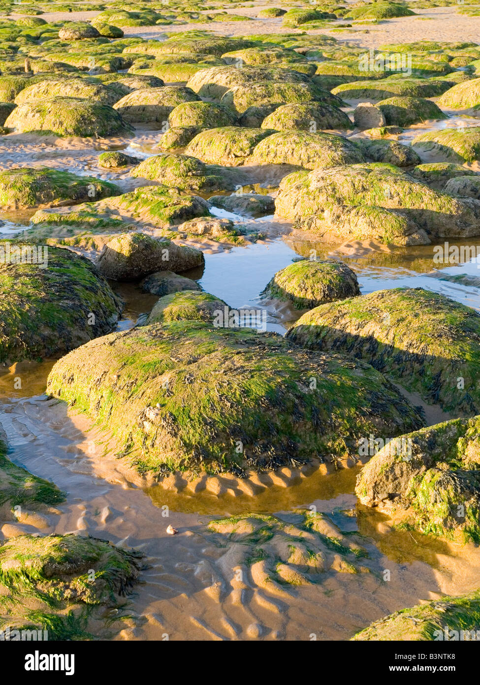 Rocks on beach hunstanton east hi-res stock photography and images - Alamy