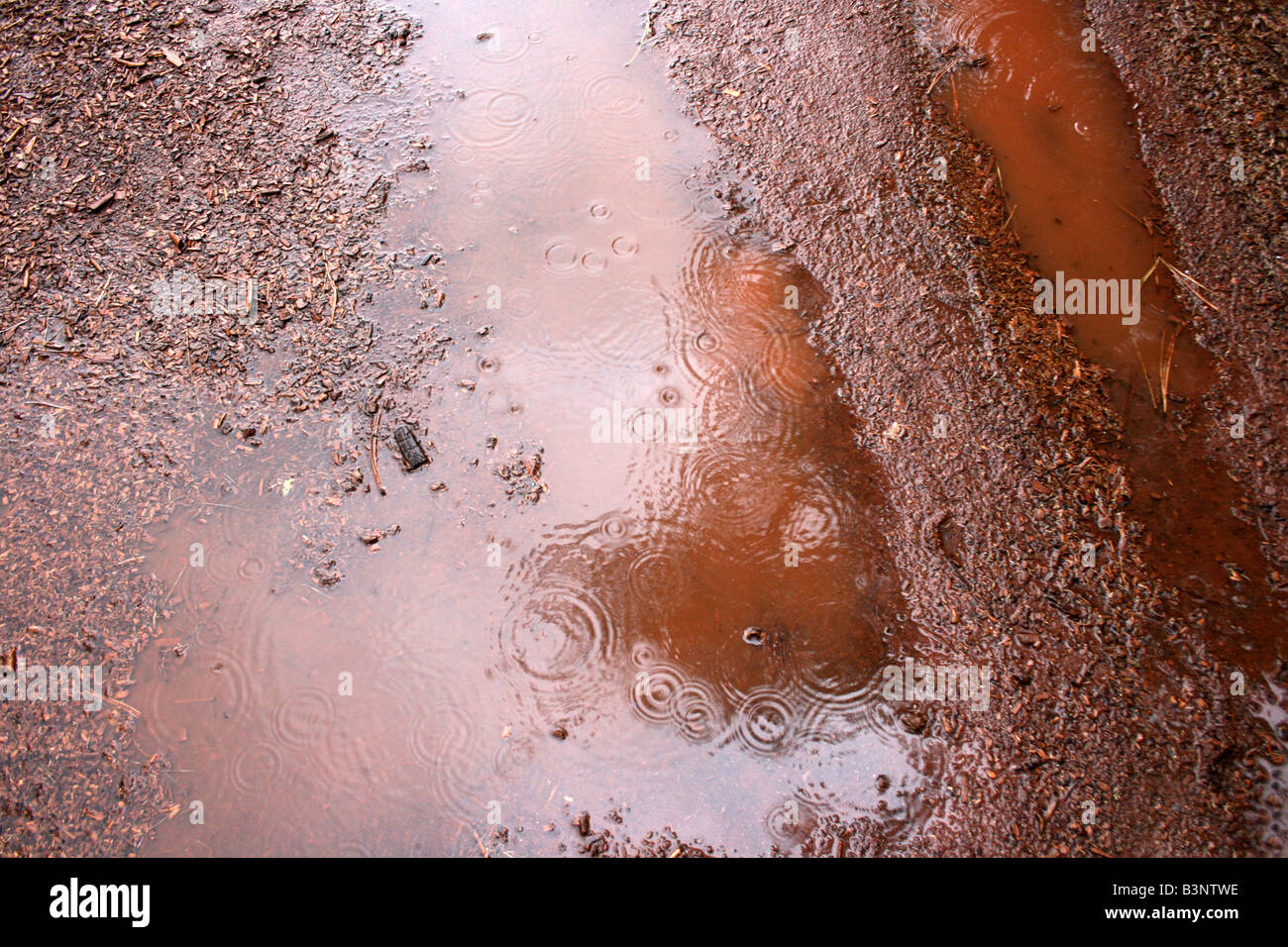muddy puddle water rain reflection Stock Photo - Alamy