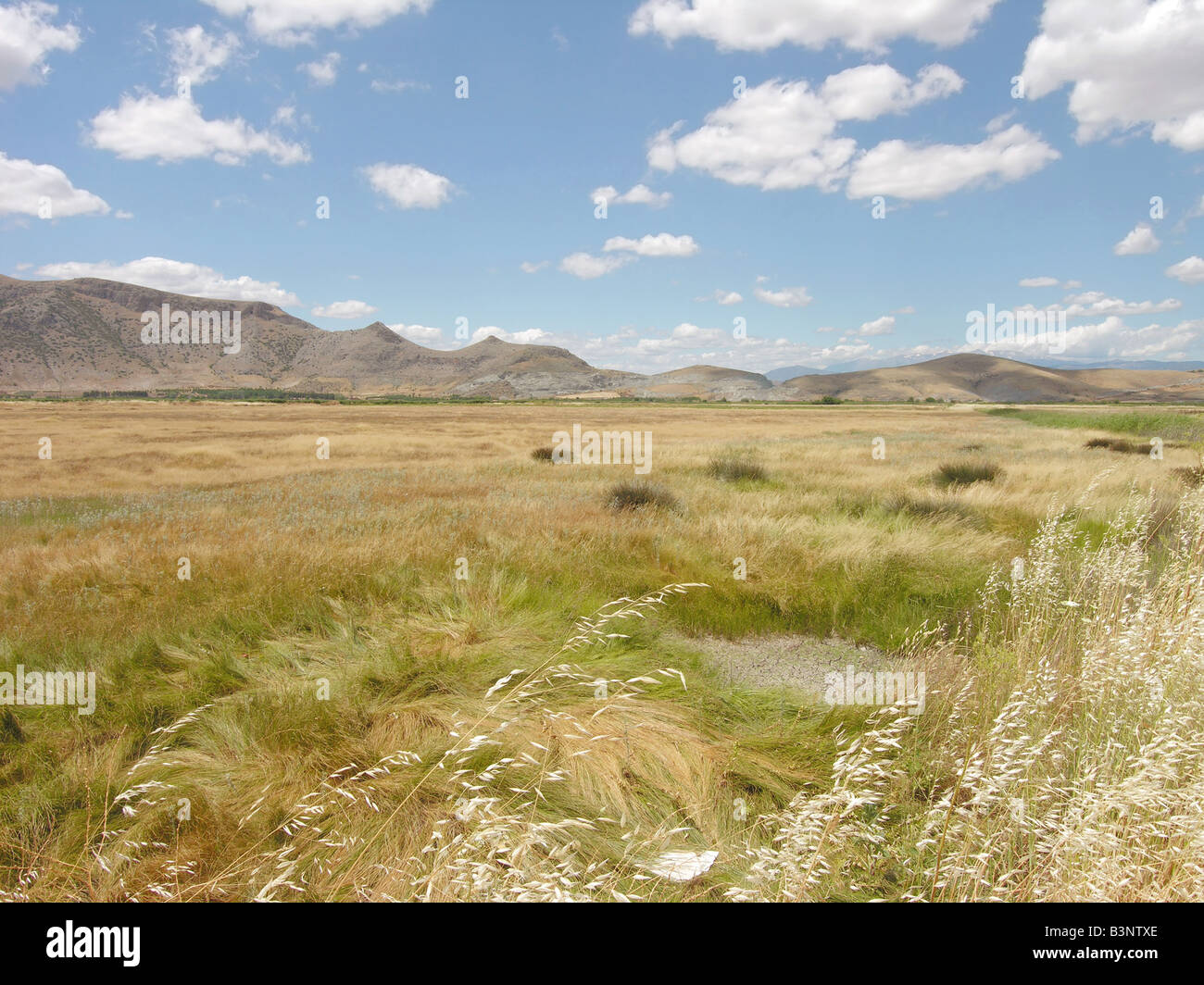Greece - landscape Stock Photo - Alamy