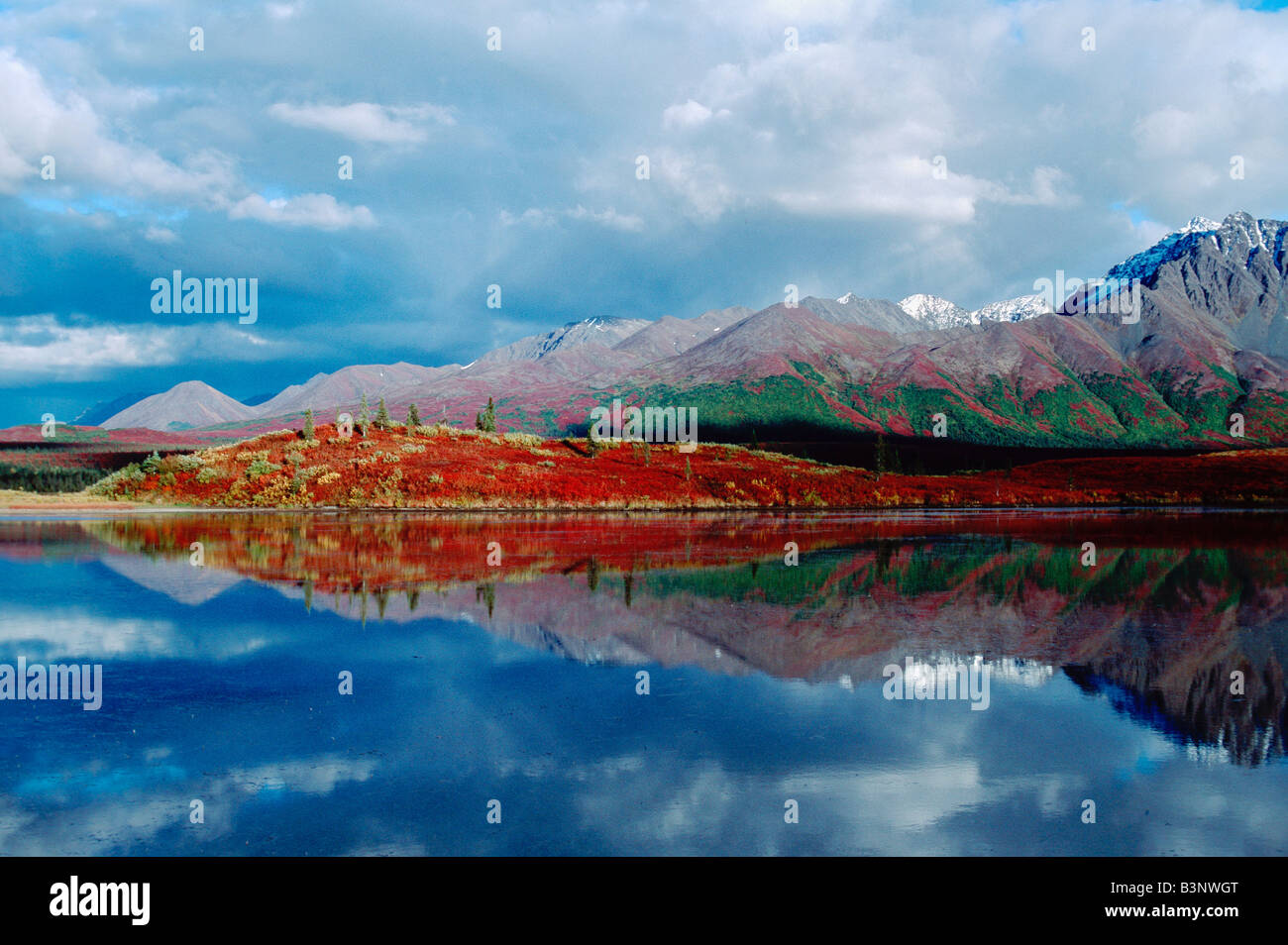 Indian Summer fall colors Tangle Lake Alaska USA Stock Photo - Alamy