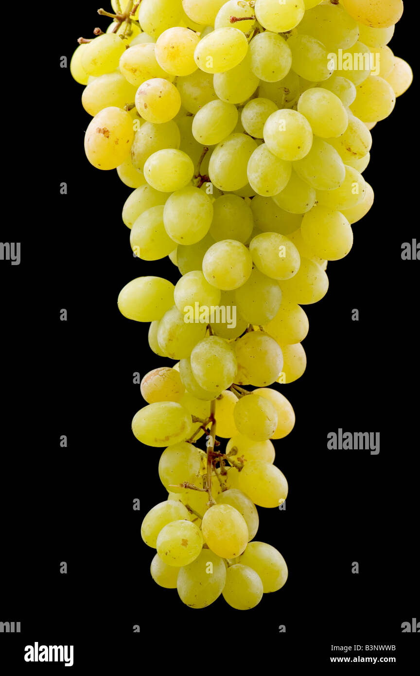 object on black food green grapes Stock Photo - Alamy