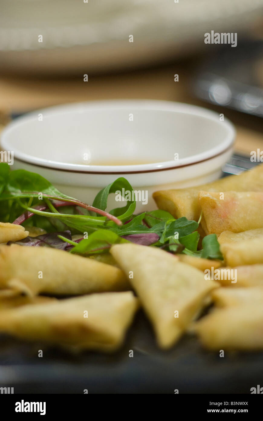 A vertical shot of a collection of appetizing samosas with salad and a ...