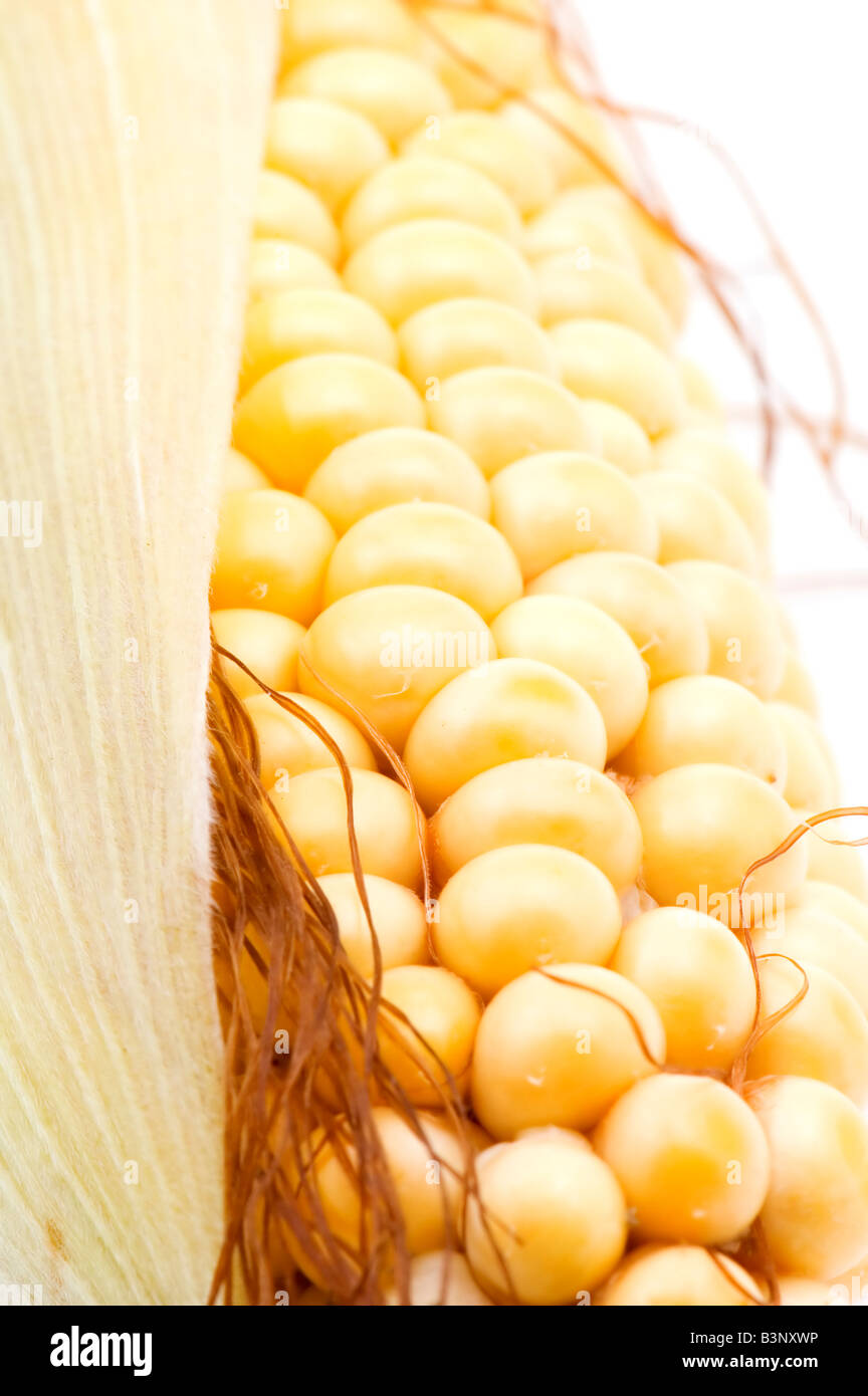 object on white food corn in cob Stock Photo - Alamy