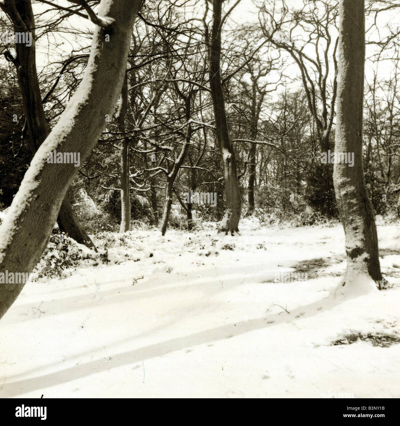 Hadley Common in Hertfordshire Winter Stock Photo - Alamy