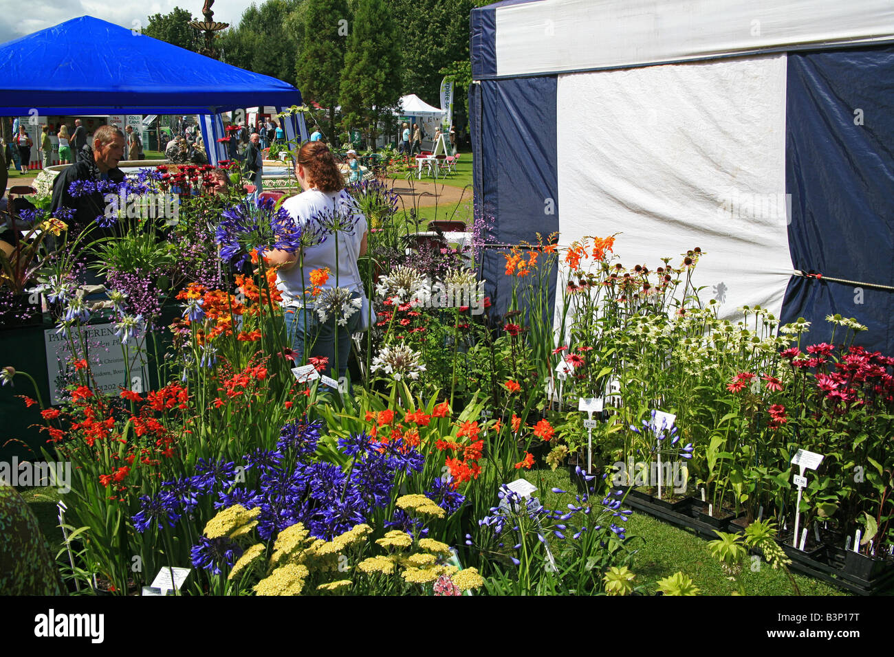 Plant stall hi-res stock photography and images - Alamy