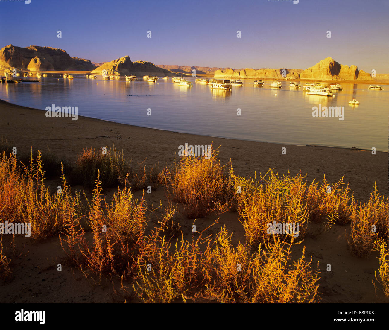 Boats at Wahweap Marina Lake Powell Utah Stock Photo - Alamy