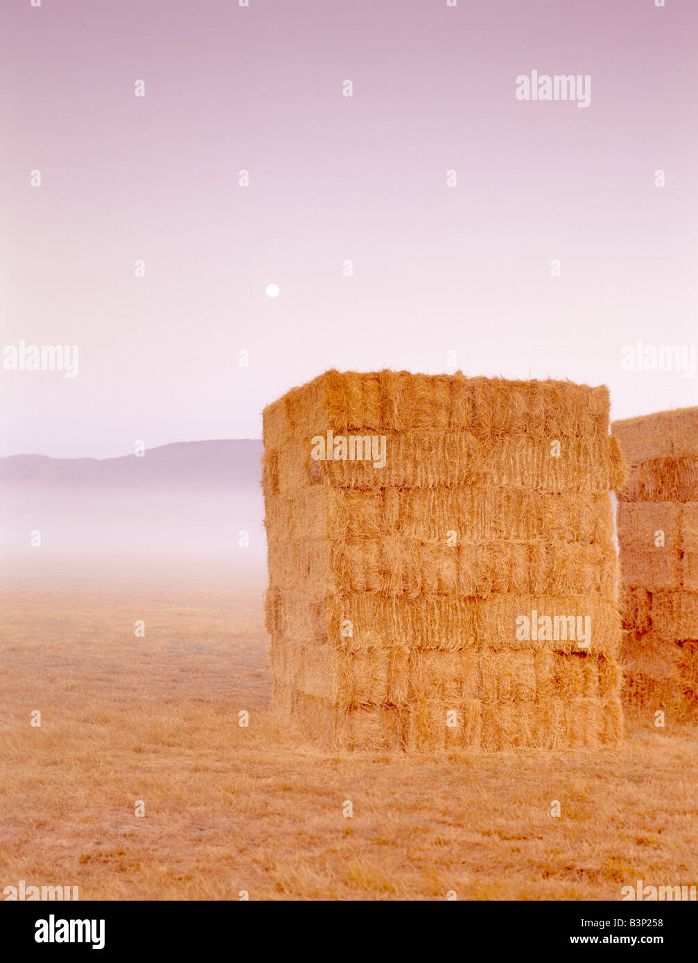 Hay moon hi-res stock photography and images - Alamy