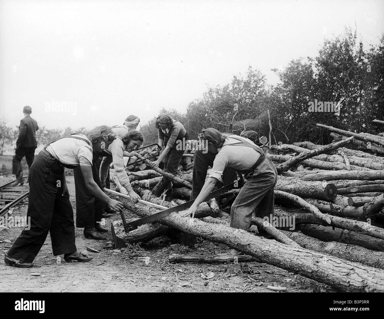 Women lumberjacks sawing felled tress 1941 women doing mens jobs during ...