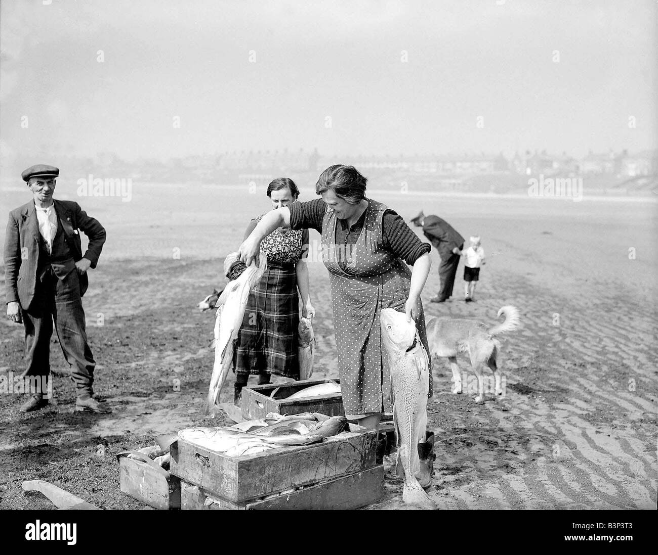 World war two war effort ww2 women working employment occupations hi ...