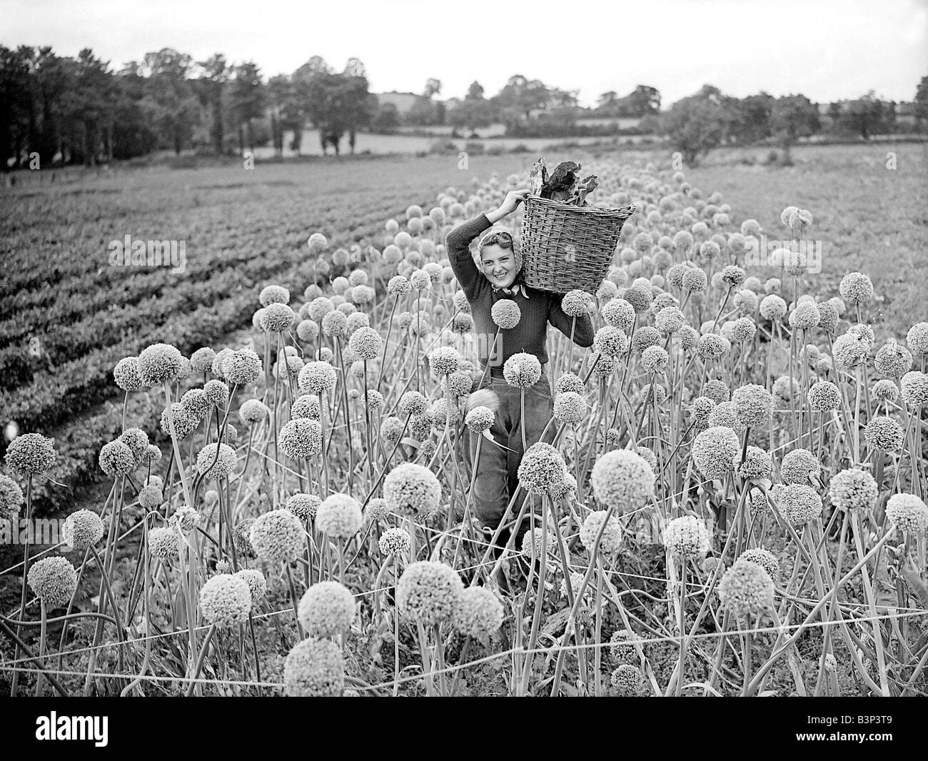 World war two war effort ww2 women working employment occupations hi ...