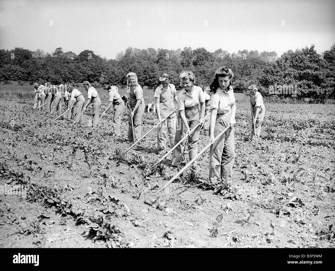 World war two war effort ww2 women working employment occupations hi ...