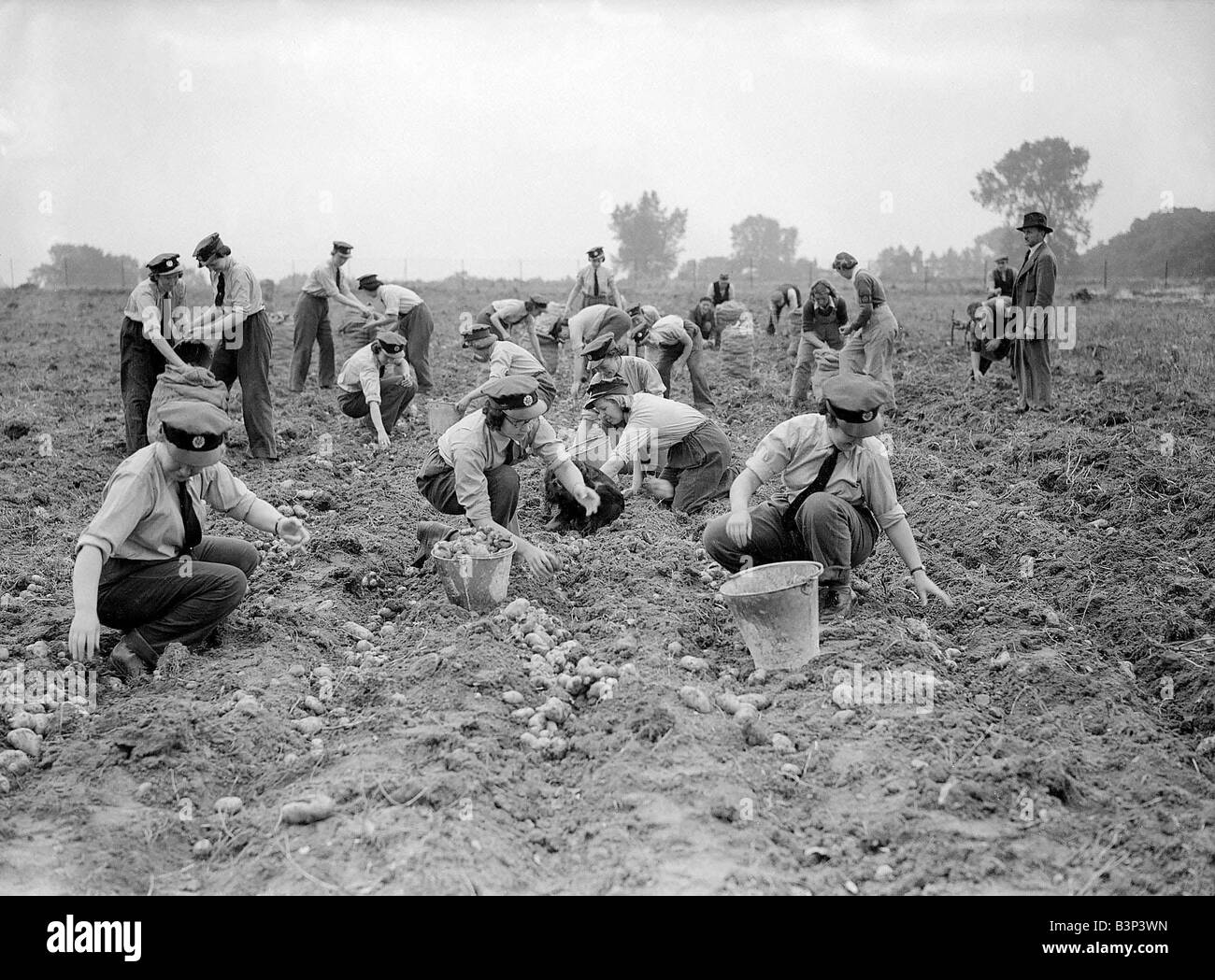 World war two war effort ww2 women working employment occupations hi ...