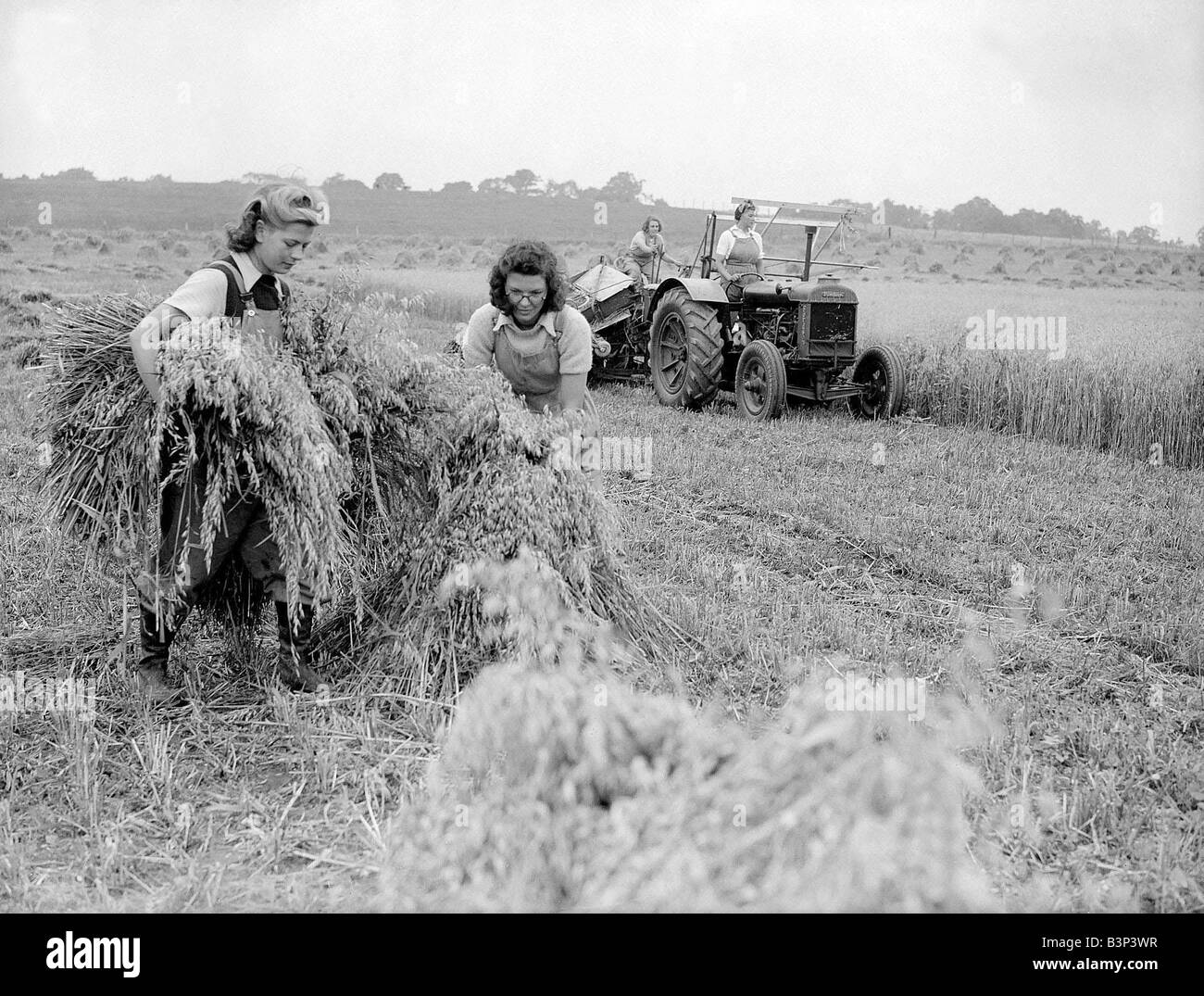 Land Girls Harvesting during WW2 1940 Women doing mens jobs during the ...