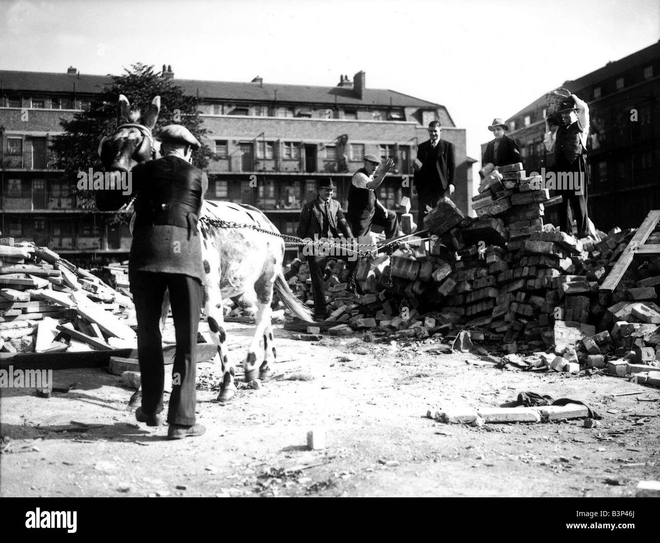 WW2 Air Raid Damage October 1941 A circus mule helps in demolition of a ...