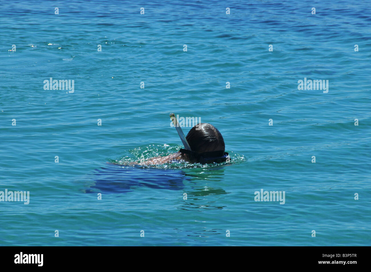 a teen boy swimming anf fishing with mask and tuba Stock Photo - Alamy