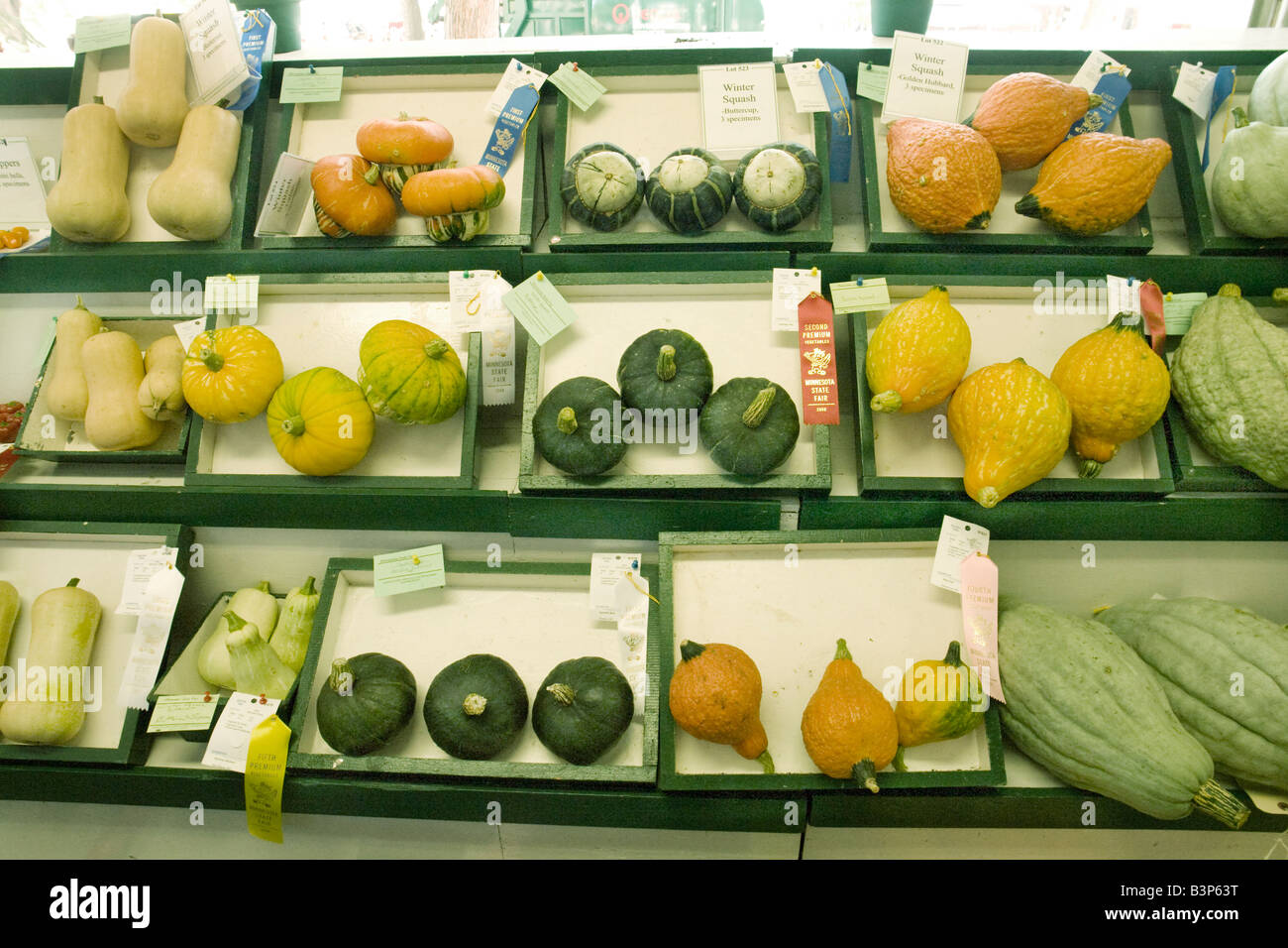Bins of prize winning vegetables Stock Photo - Alamy