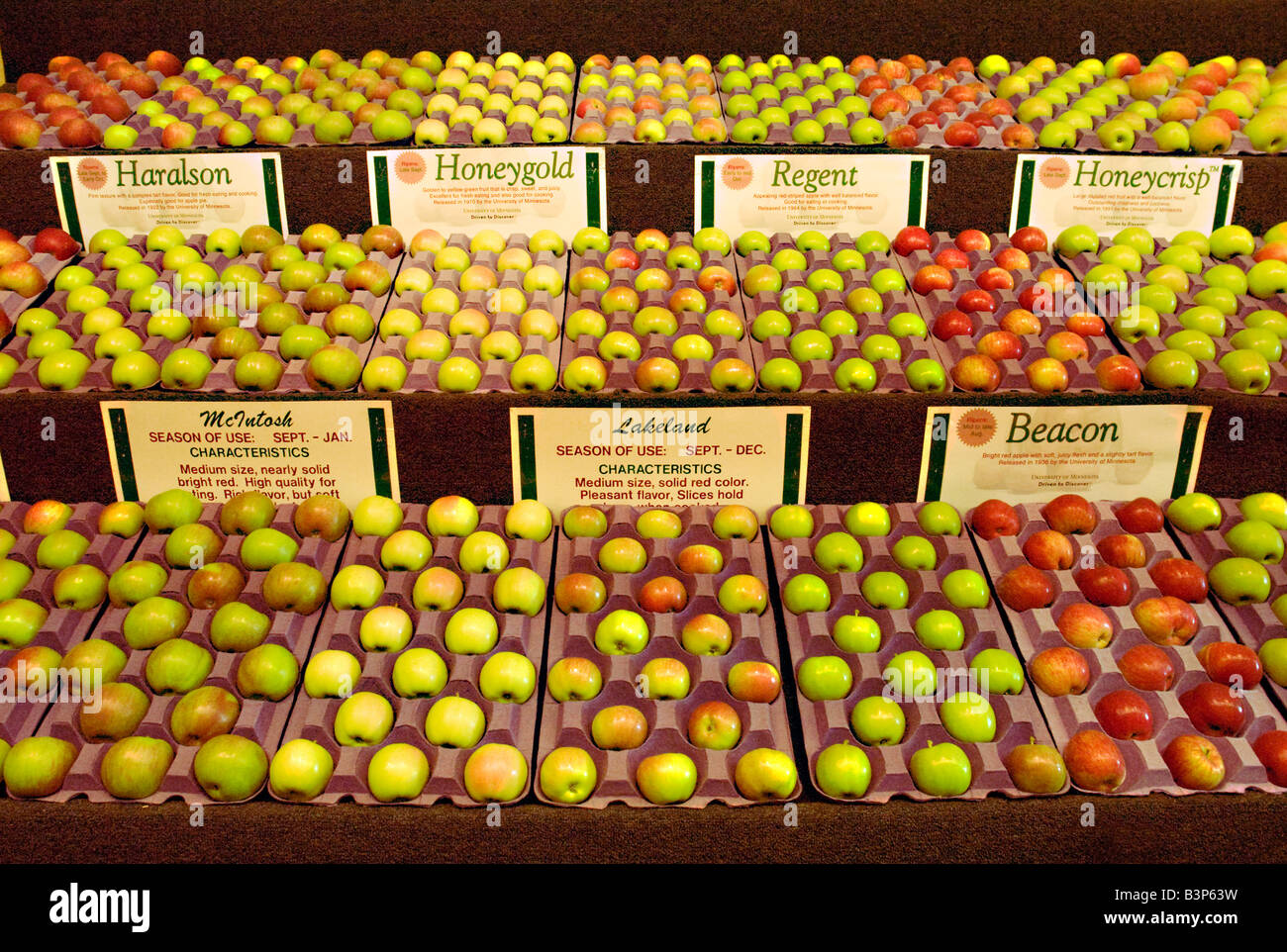 A display of varieties of prize winning apples at the fair Stock Photo ...