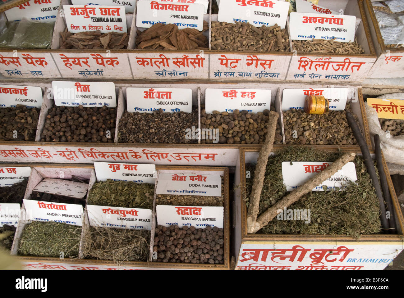 India Uttarakhand Haridwar Herbs and spice stall at the market Stock ...