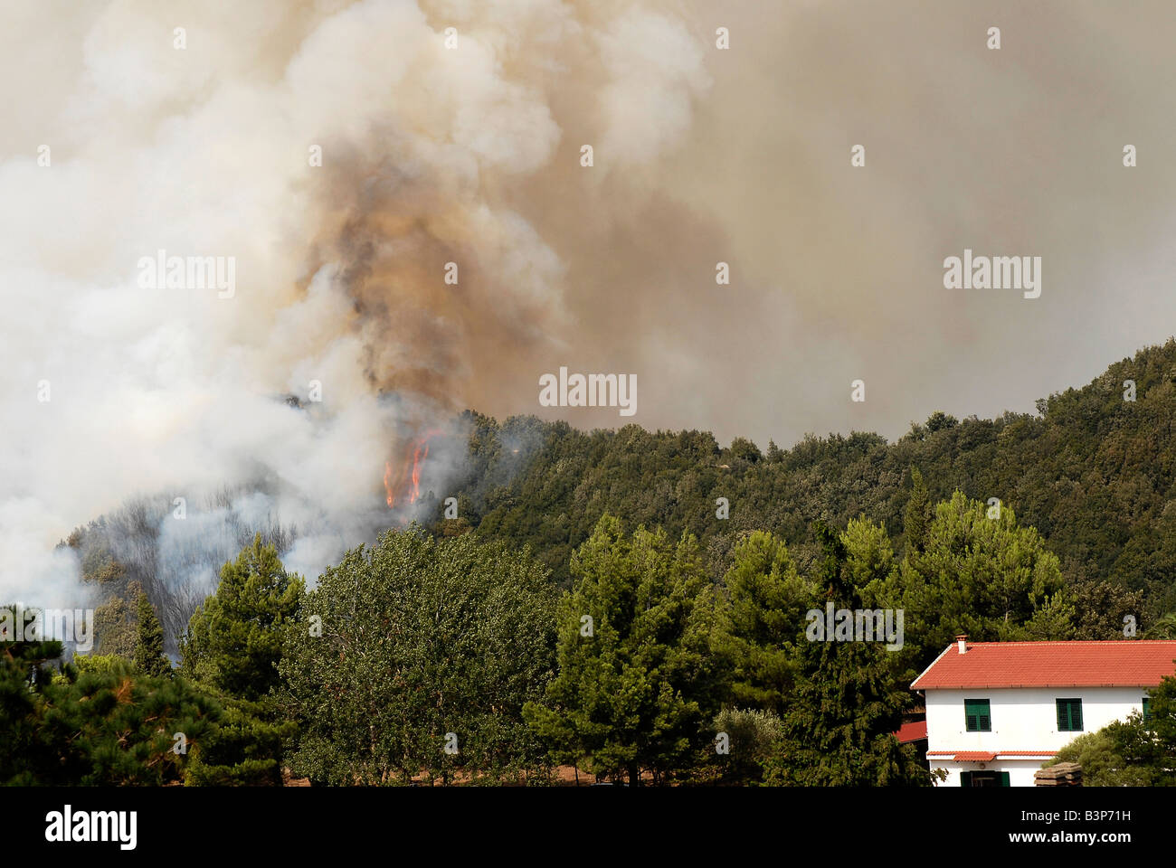 A big fire in the wood burning close to a civil house. A wide cloud of ...