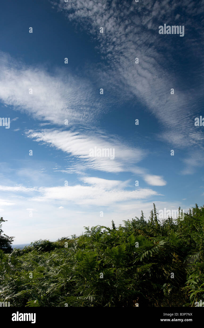 Beautiful summers day Stock Photo - Alamy