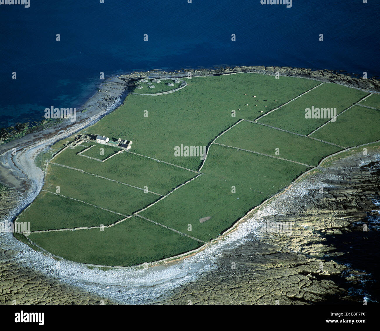 ireland dwelling on an off shore island off dingle peninsula, wild ...