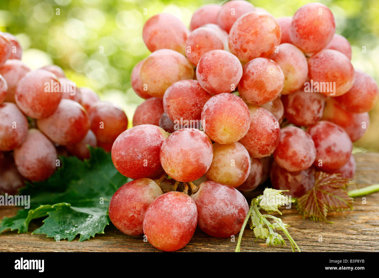 Grapes in natural background Stock Photo - Alamy