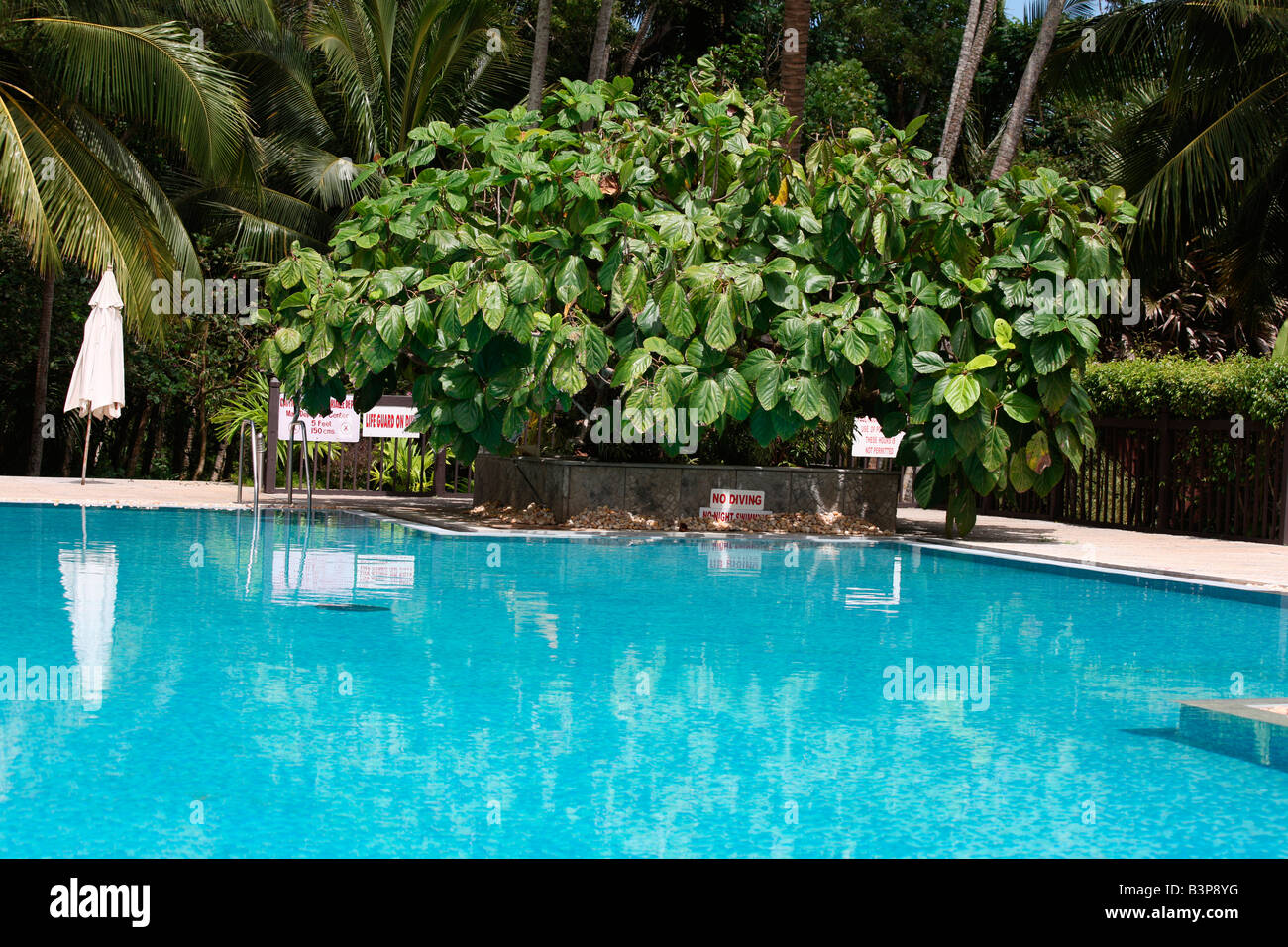swimming pool in a resort at Poovar,Kerala,india Stock Photo - Alamy