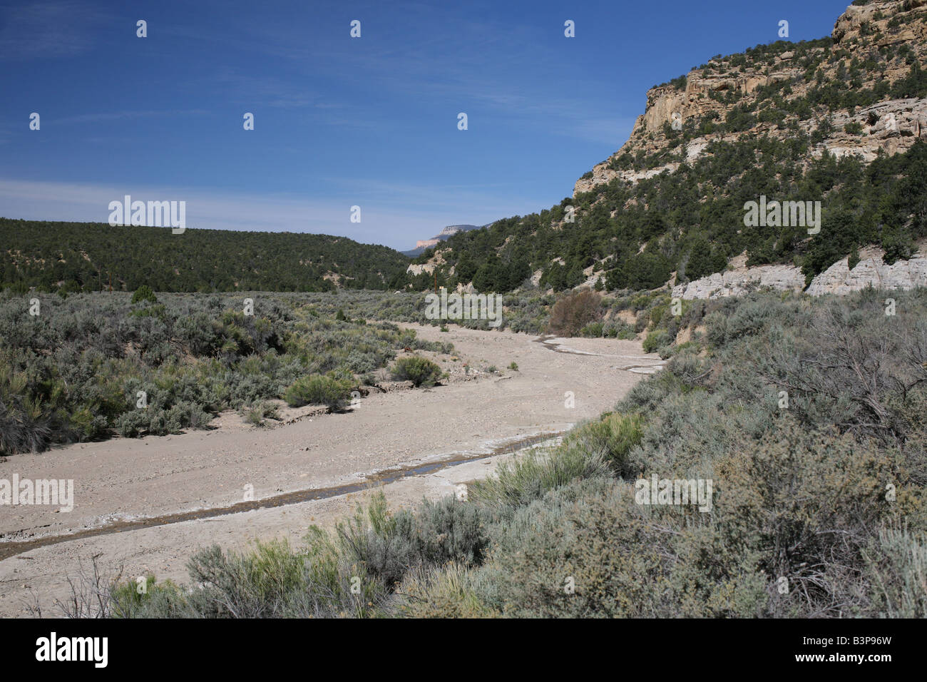 dry river bed utah Stock Photo - Alamy