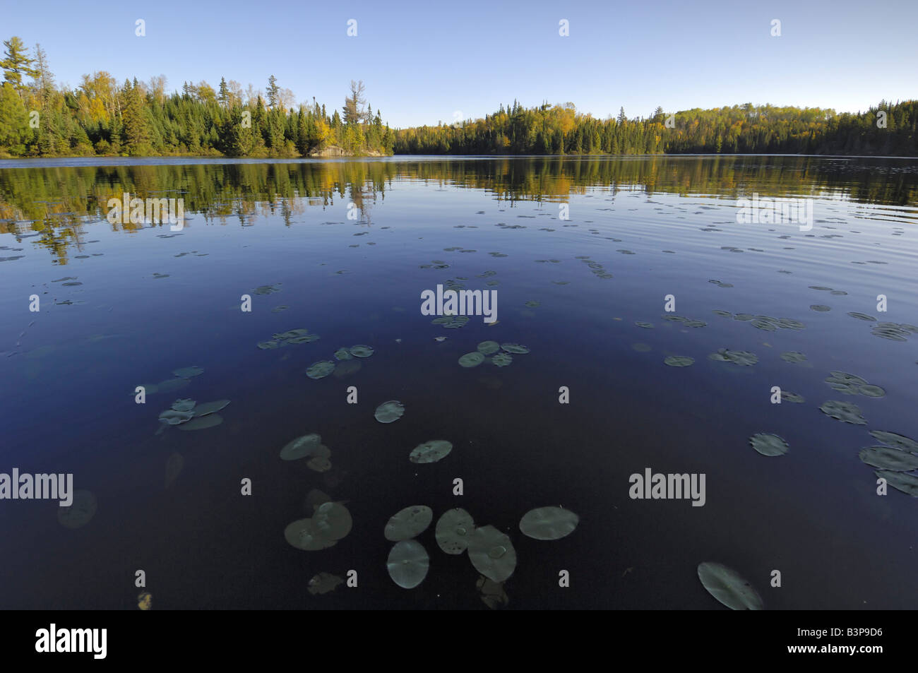 Gordon Lake, Boundary Waters Canoe Area Wilderness, Superior National ...