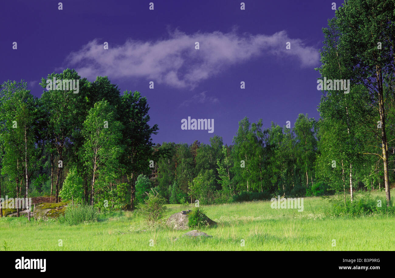 Thunder stone hi-res stock photography and images - Alamy