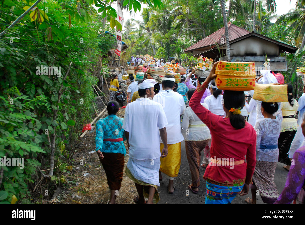 Women Carrying Offerings to Temple Festival (Odalan),sawan , north bali ...