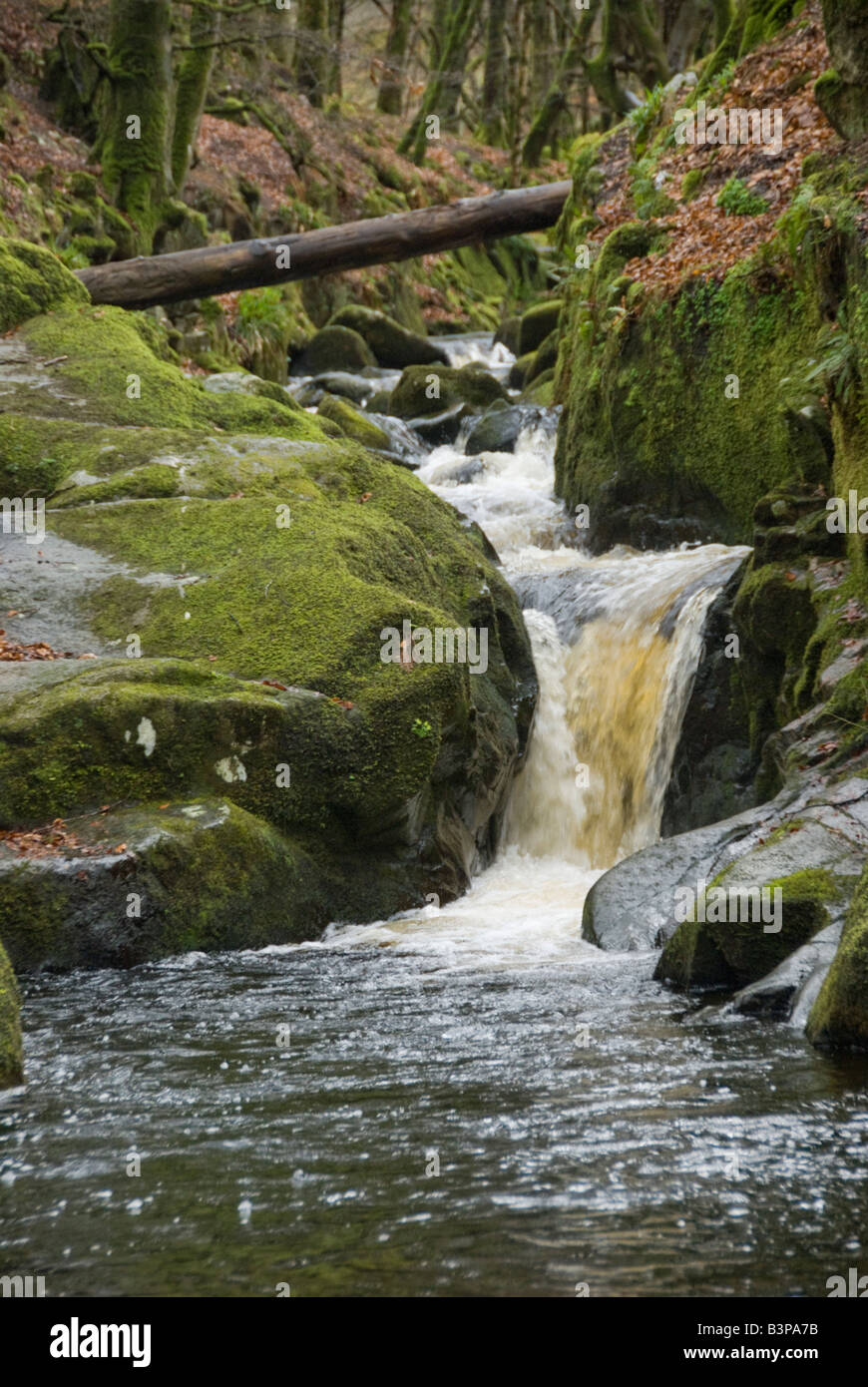Irish river in Spring Stock Photo - Alamy