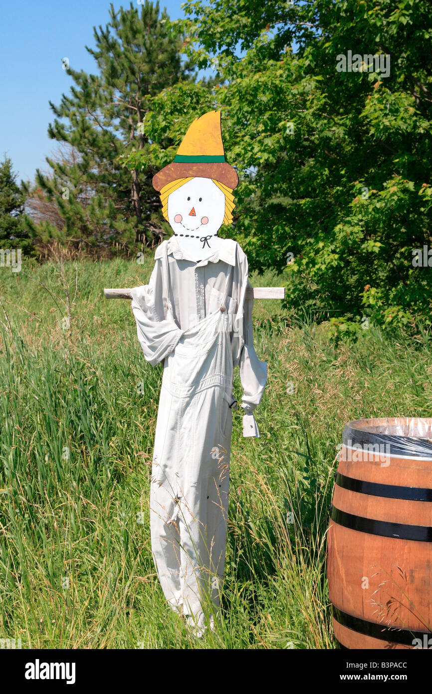 Scarecrow farm hi-res stock photography and images - Alamy