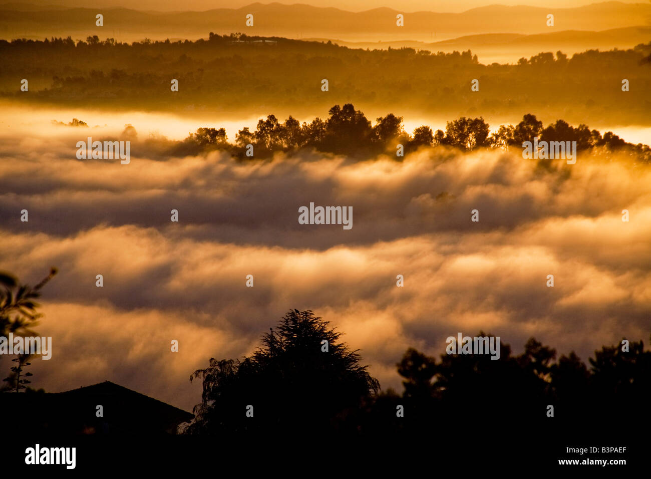 Morning sun illuminates and begins evaporating heavy mist in Crown ...