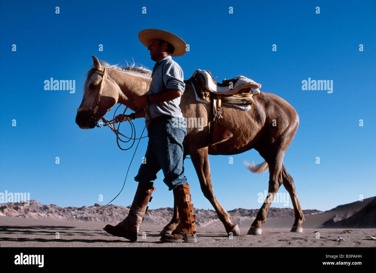 Chile, Atacama Desert. A huaso or Chilean cowboy leads his horse ...