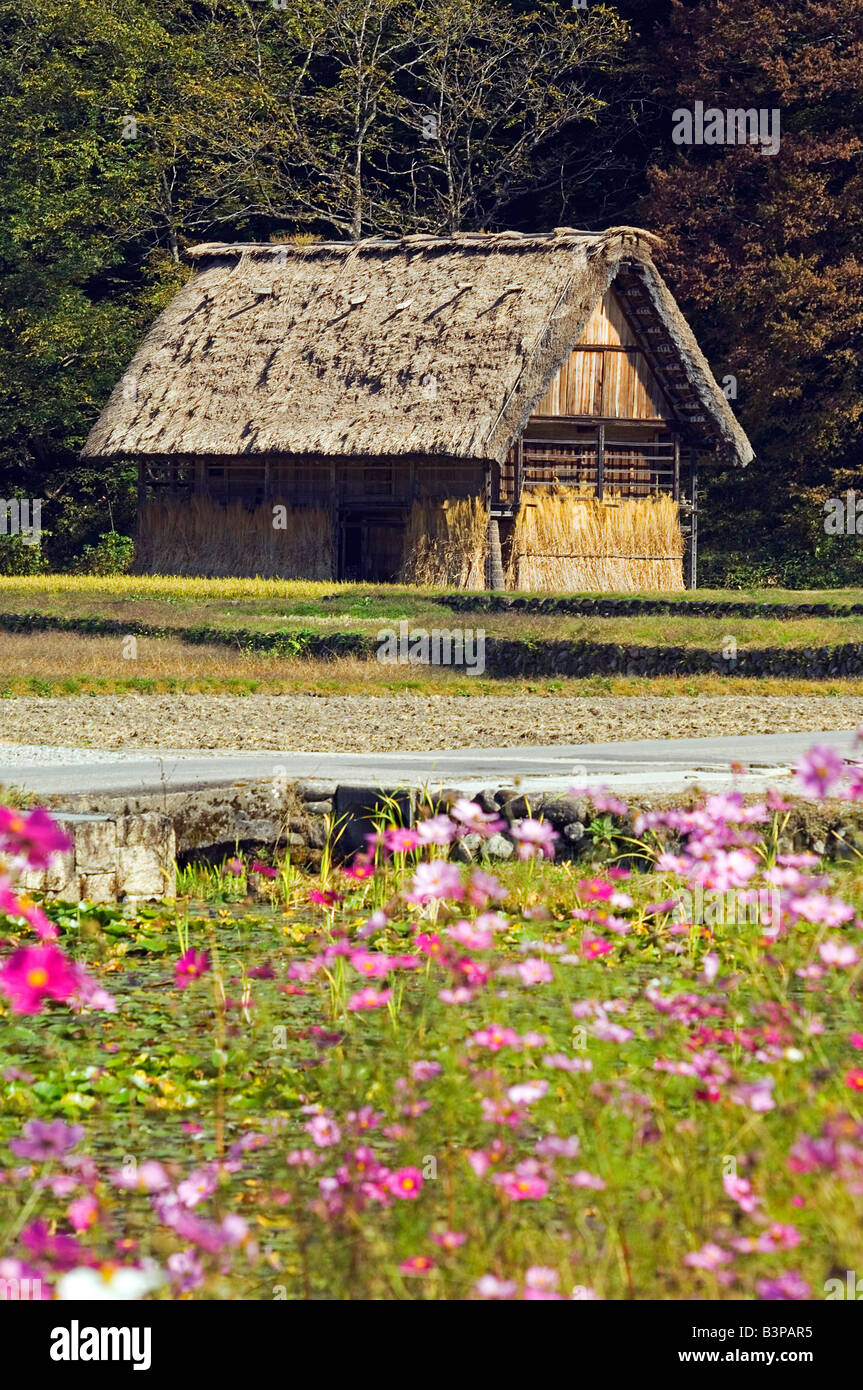 Ogi High Resolution Stock Photography and Images - Alamy