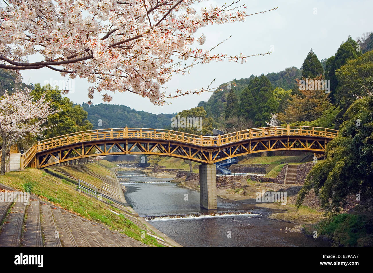 Arch bridge and cherry blossoms hi-res stock photography and images - Alamy