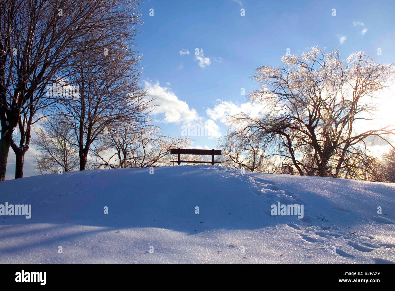winter scene with park bench Stock Photo - Alamy