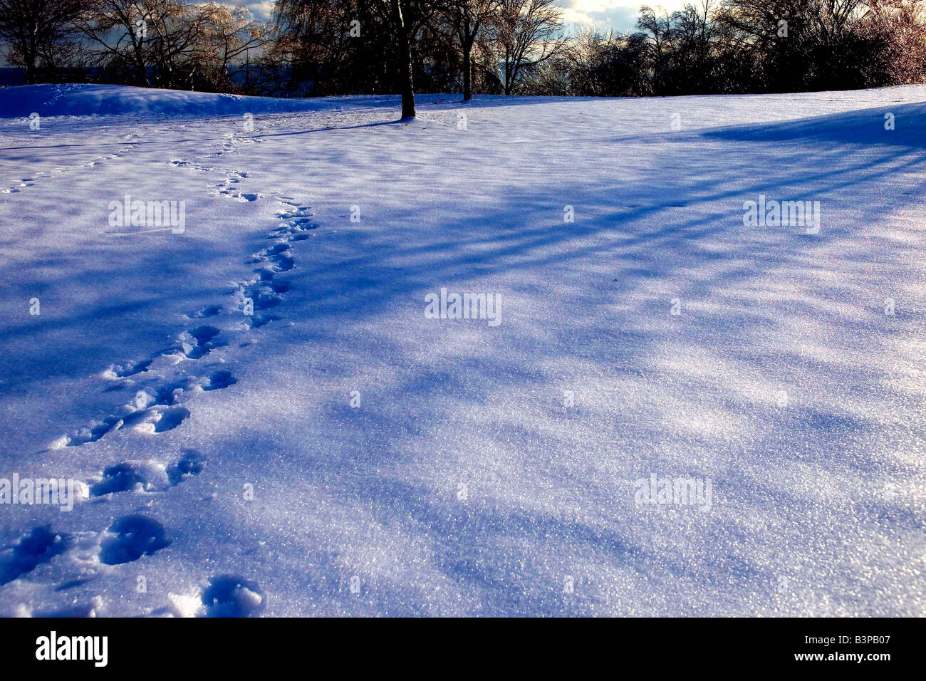 Winter scene with footsteps in snow Stock Photo - Alamy