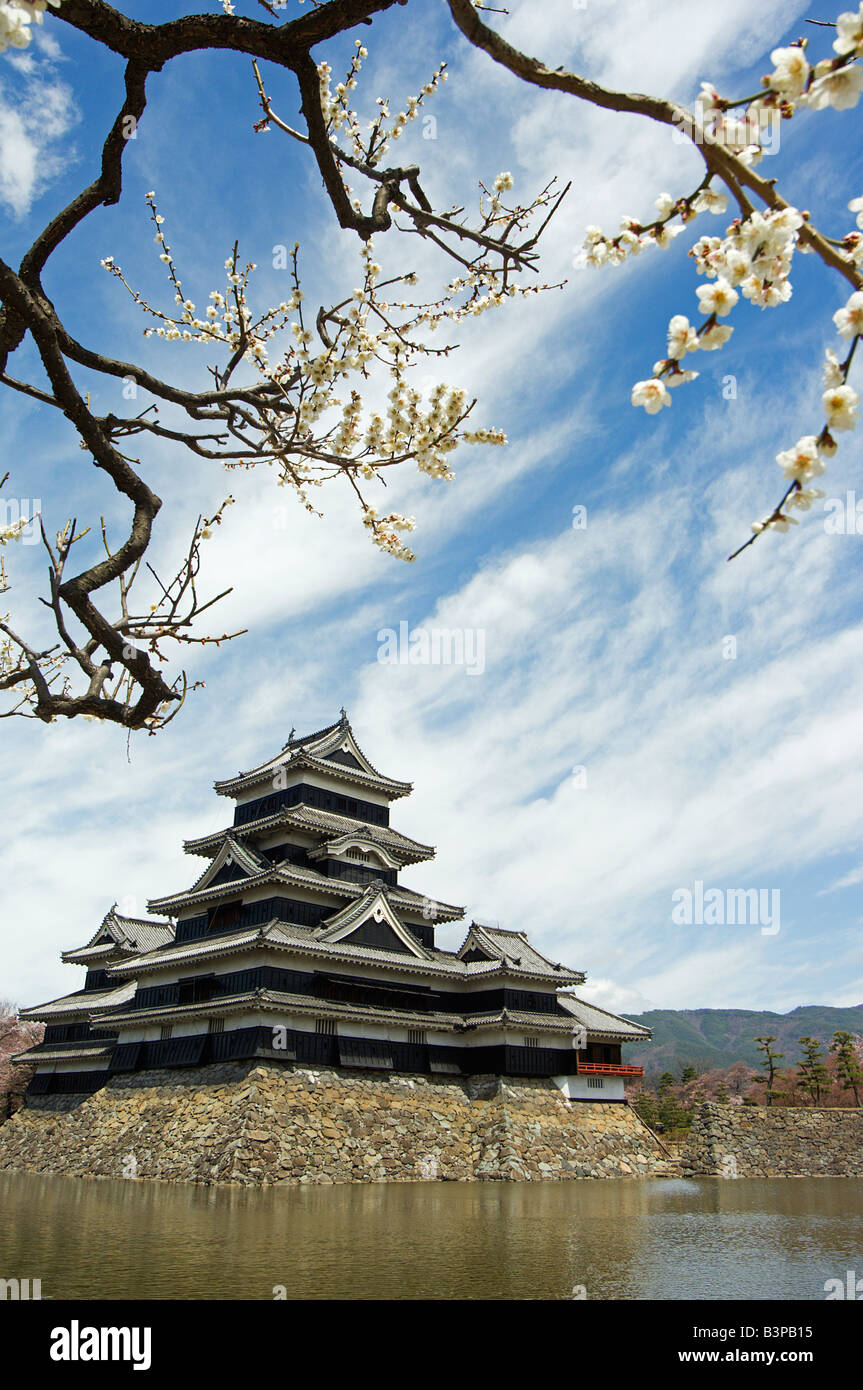 Japanese cherry tree nagano hi-res stock photography and images - Alamy