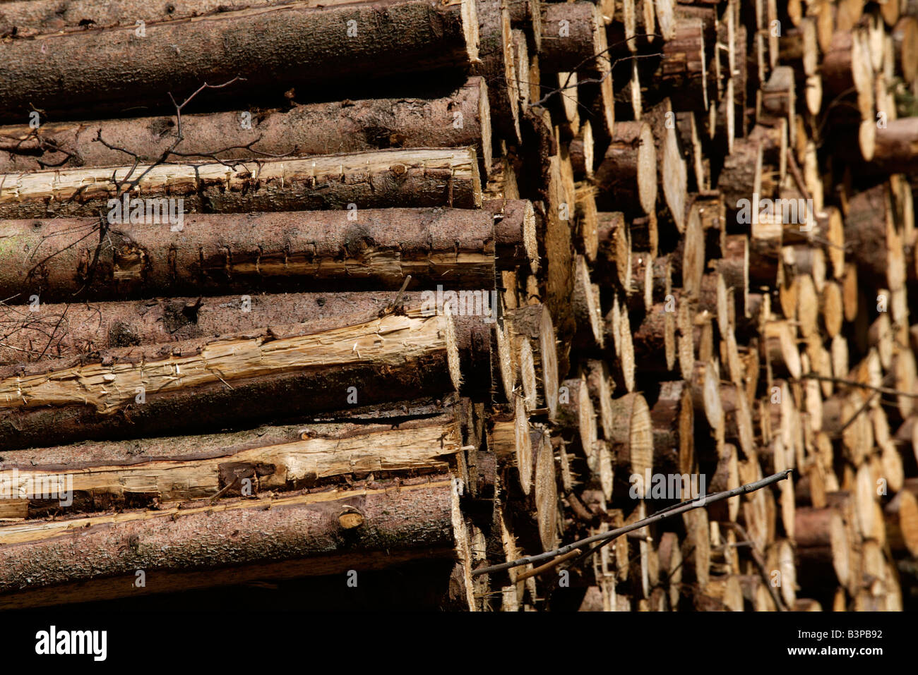 Germany, Bavaria, Upper Bavaria, Stack of sawn timber, full frame Stock ...