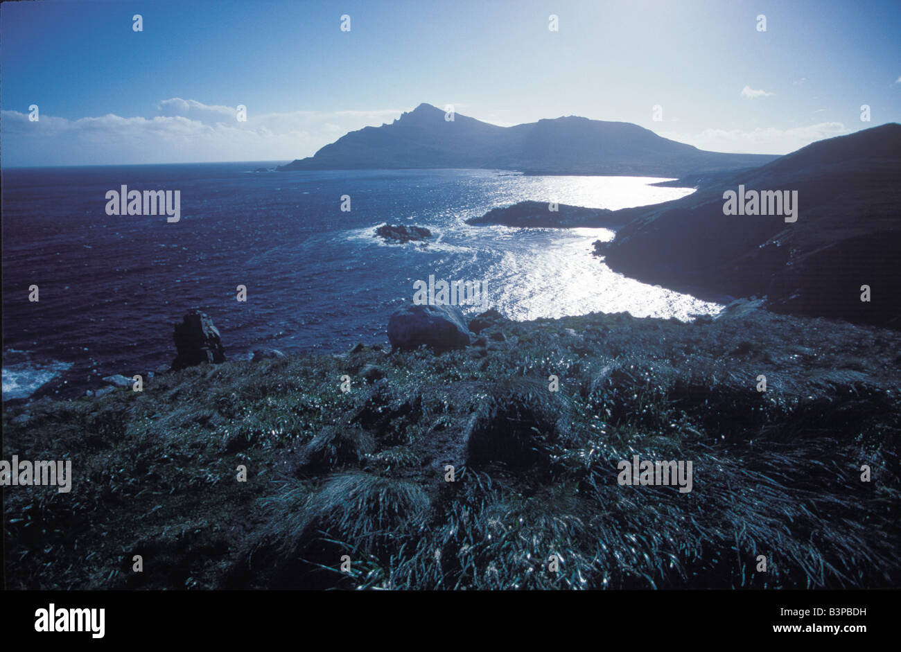 Woolaston hi-res stock photography and images - Alamy