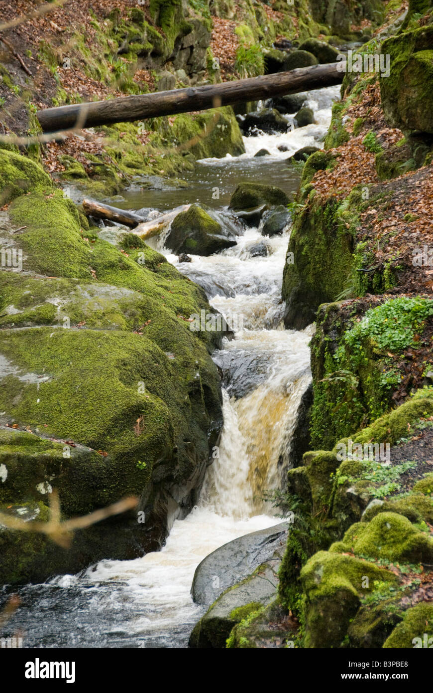 Irish river in Spring Stock Photo - Alamy