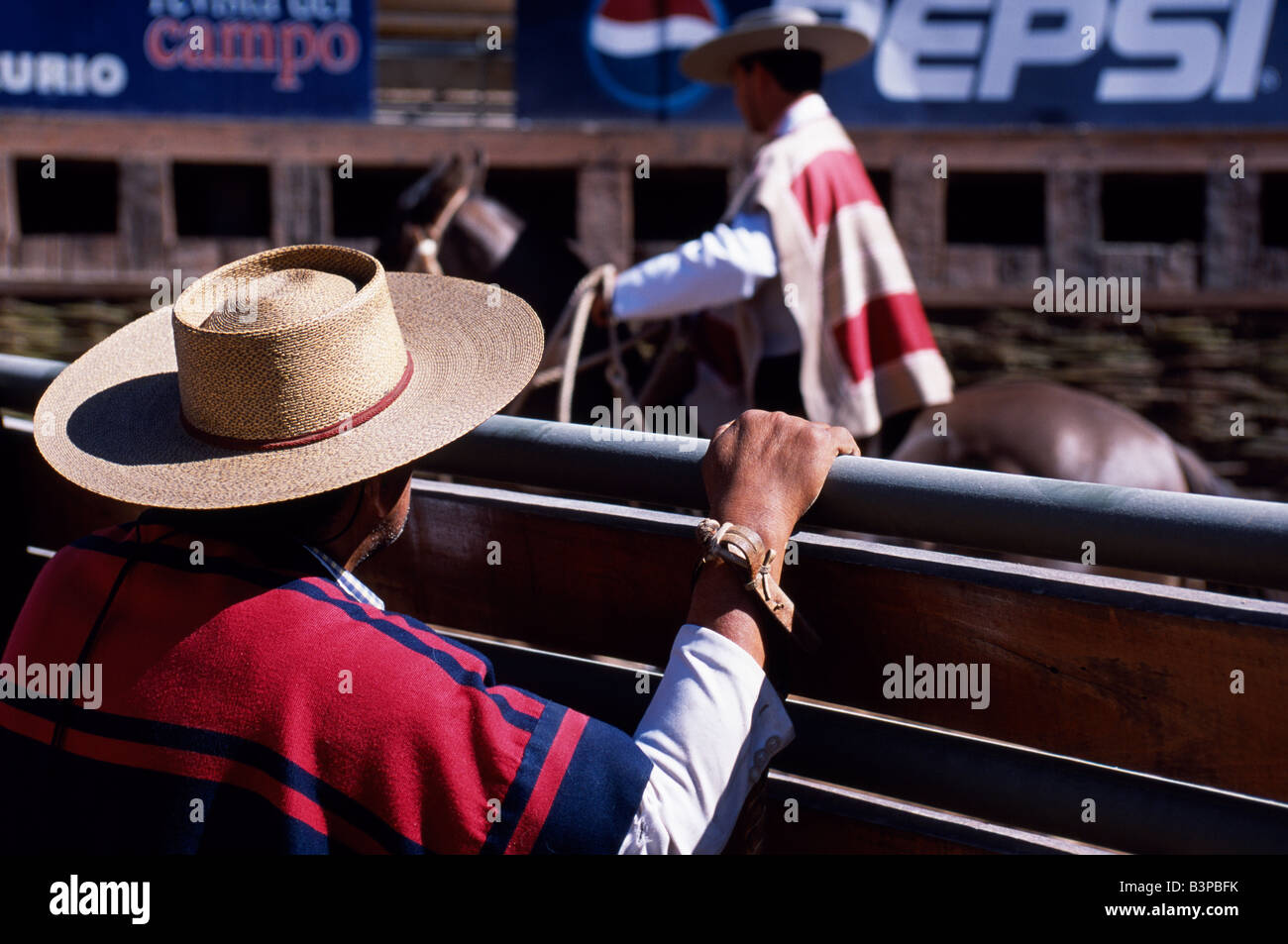 Chile, Rancagua. Gate martial watches the action, National Rodeo ...