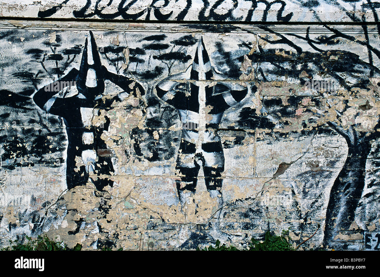 Yahgan indian hi-res stock photography and images - Alamy