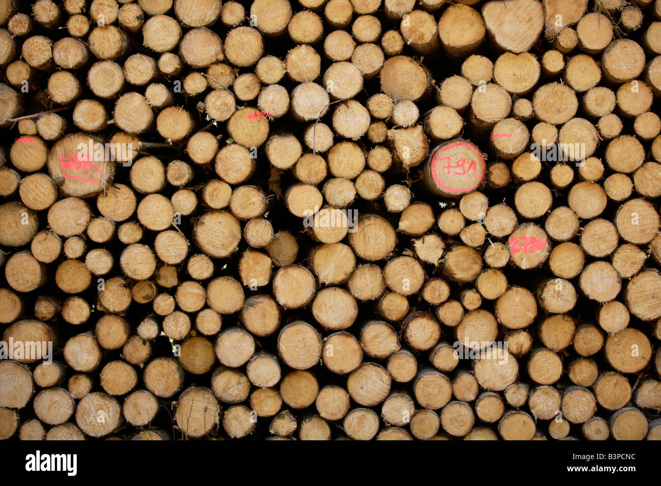 Germany, Bavaria, Upper Bavaria, Stack of sawn timber, full frame Stock ...