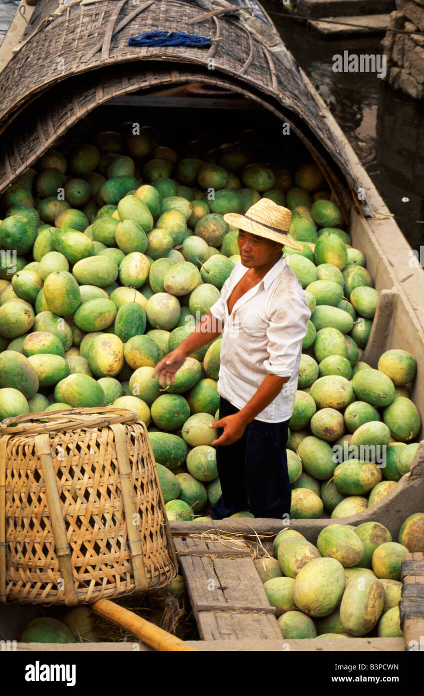 Loading watermelon High Resolution Stock Photography and Images - Alamy