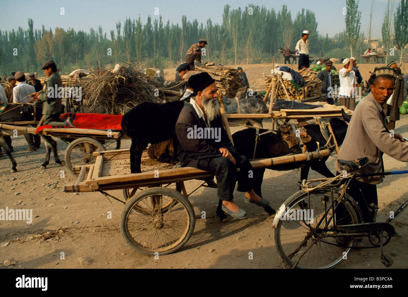 China, Xinjiang Uigur Autonomous Region, Kashgar. Donkey carts remain a ...